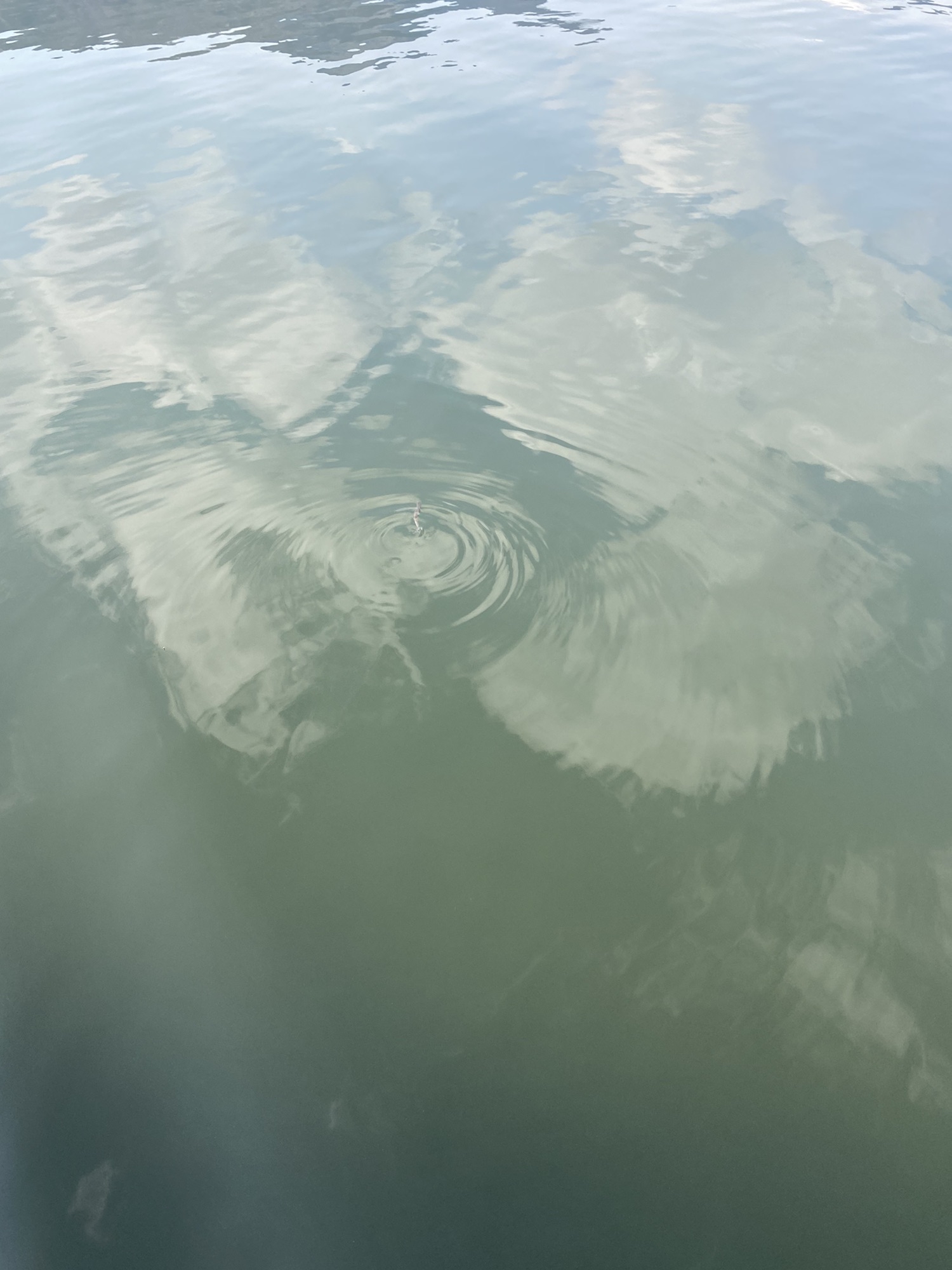 いよいよ秒読み開始⁈⁈アスリート70lt OKUNOTEの使い方。 | SHIBATA GUIDE-SERVICE