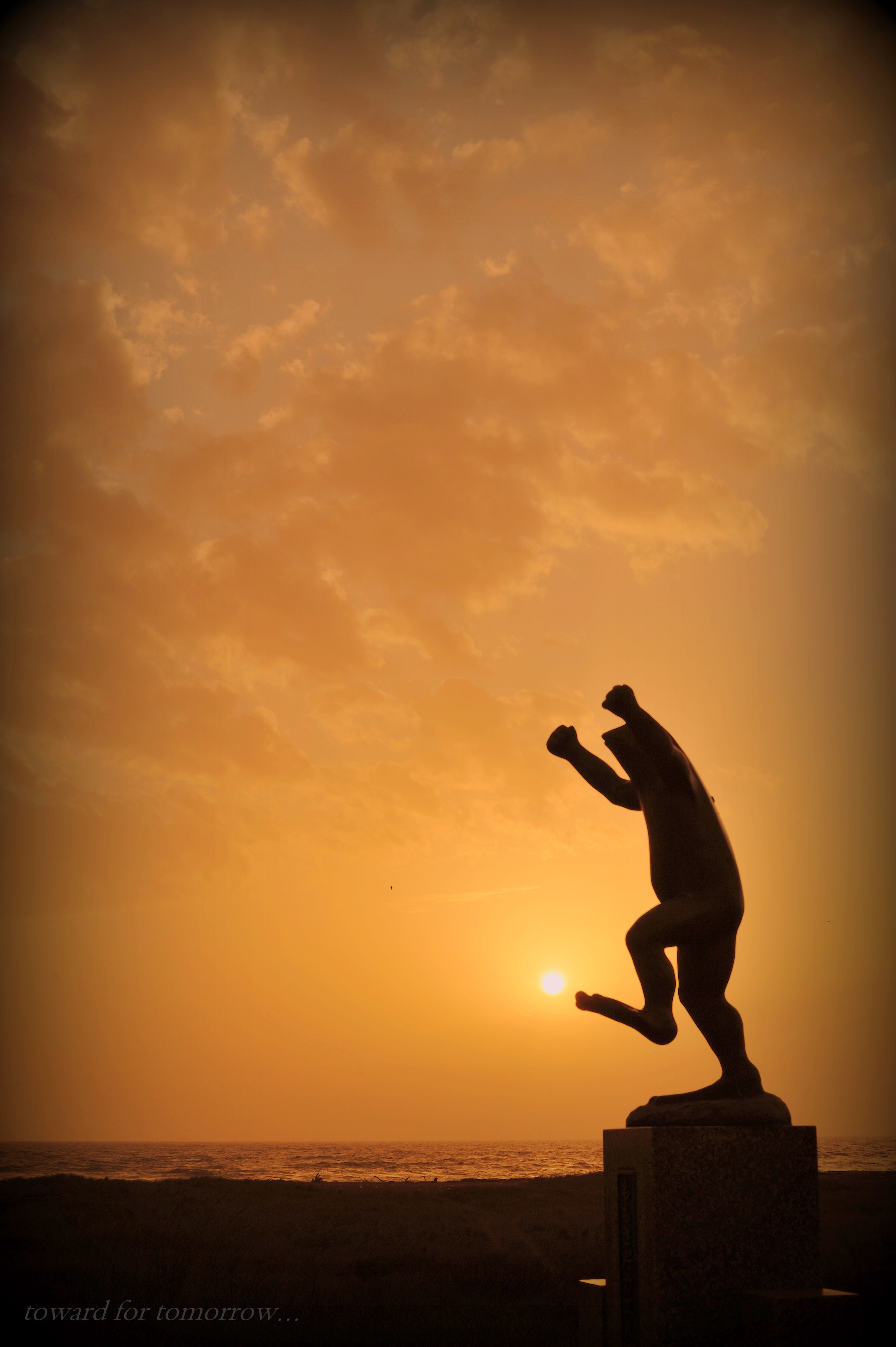 toward for tomorrow... | whim photo studio