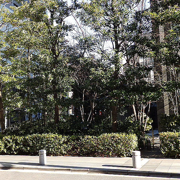 SULLY新色☆ | パトリック【公式ブログ】｜PATRICK LABO BLOG