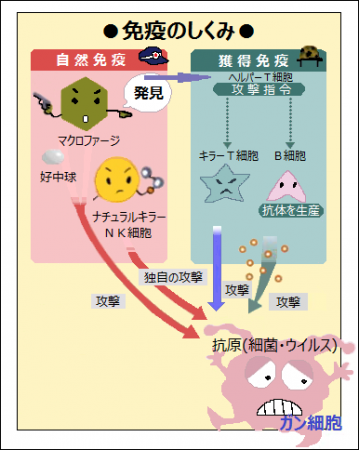 未病・免疫力・自然治癒力・冷え性・低体温・適正体温を知ろう！ | コズミックホリステック医療・教育企画