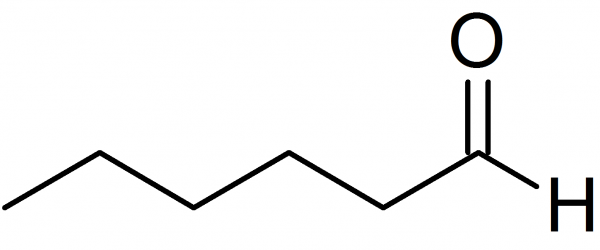 アルデヒドC6 | PERFUMER'S LODGE