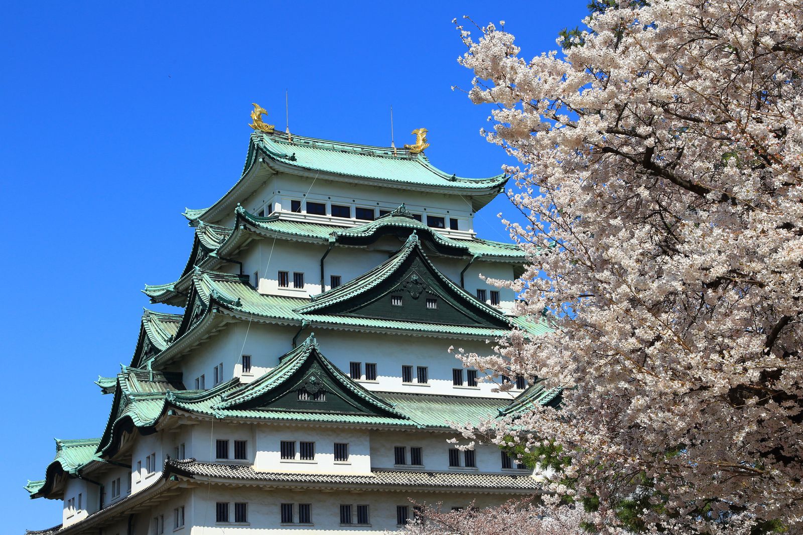 Remnant Academy Japanese Language School