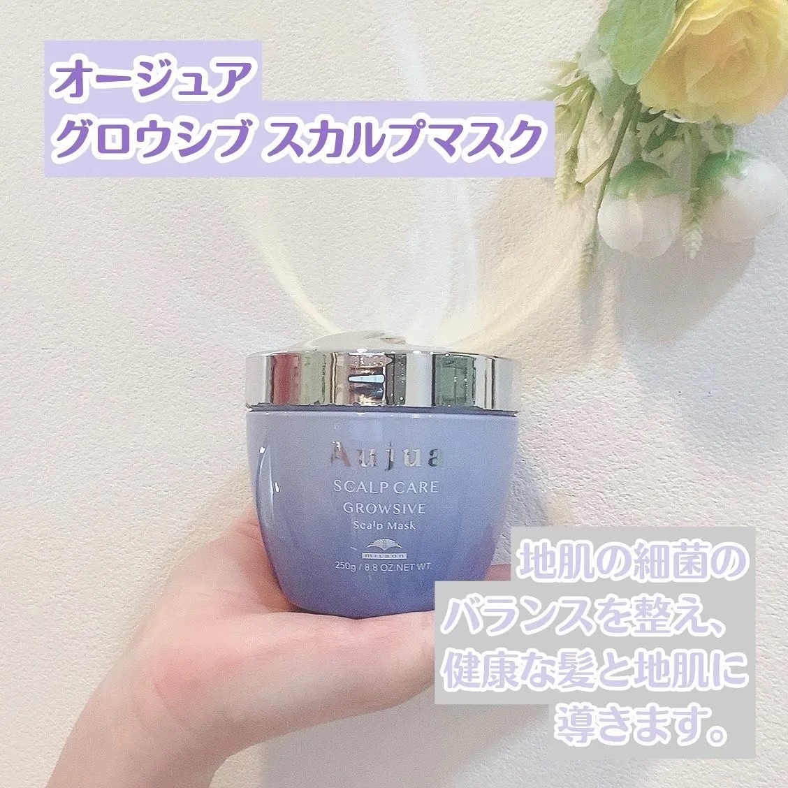 defi 青山店｜HANAYA｜株式会社花耶【公式サイト】
