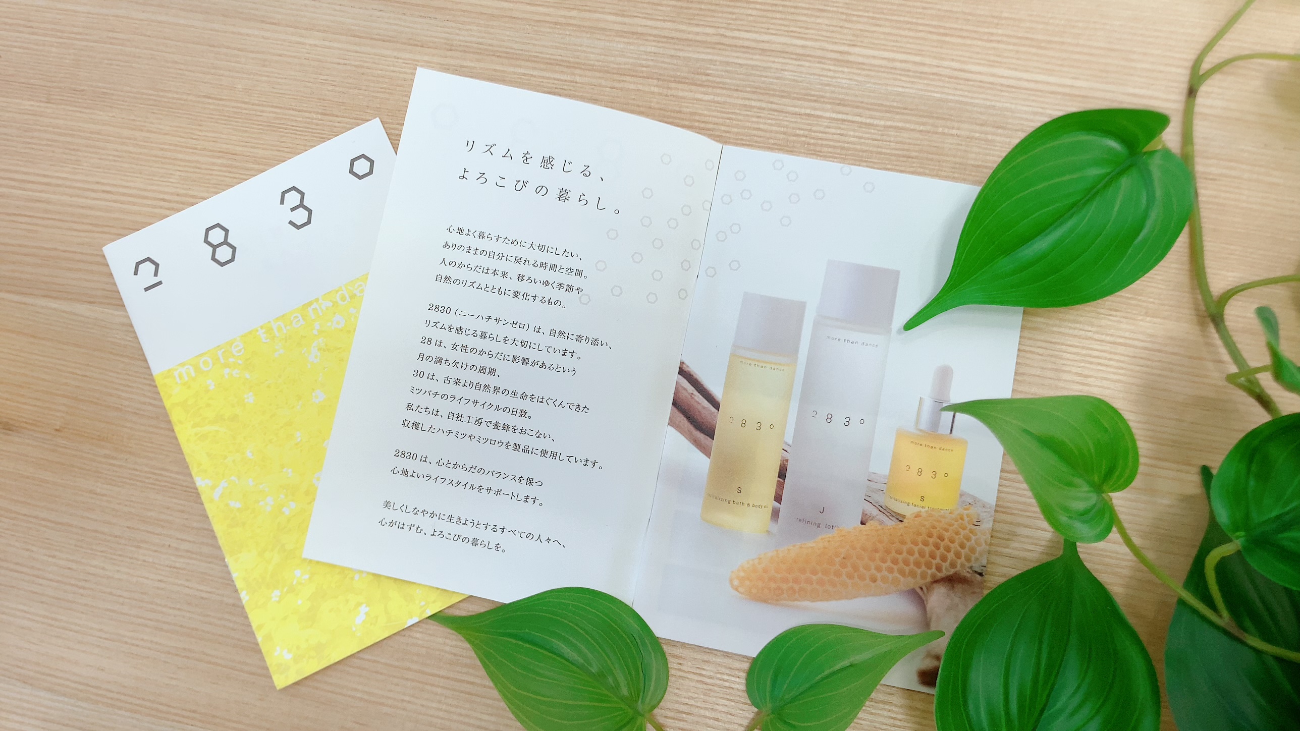 Wellness Menu | 心と身体を整える Retreat salon AYA