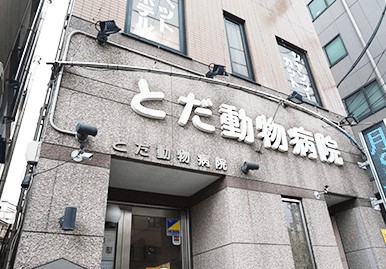 江東区でトリミングなら【とだ動物病院 トリミング室】 | optimize-business's Ownd