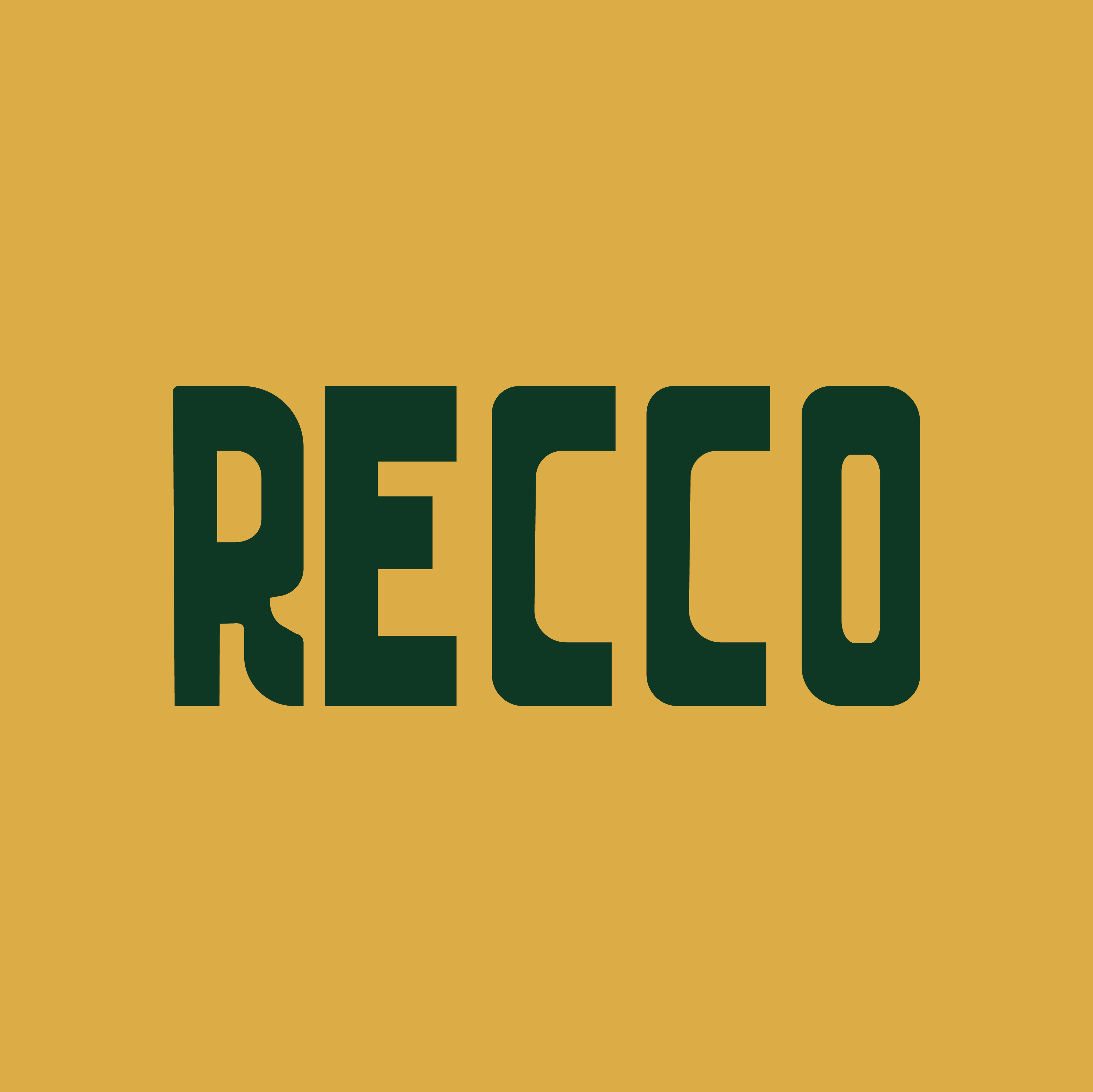 ABOUT | RECCO's Ownd