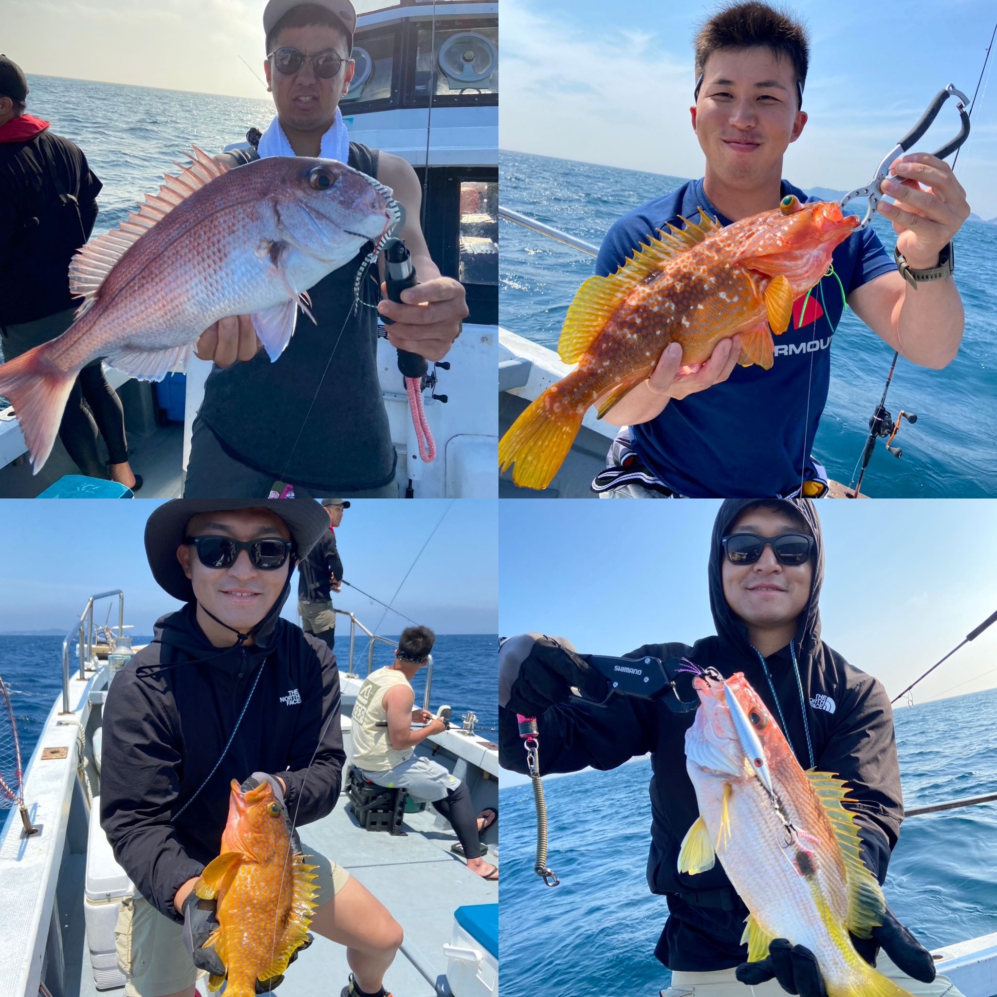 6/19 根魚、SLJ | 遊漁船GLOW