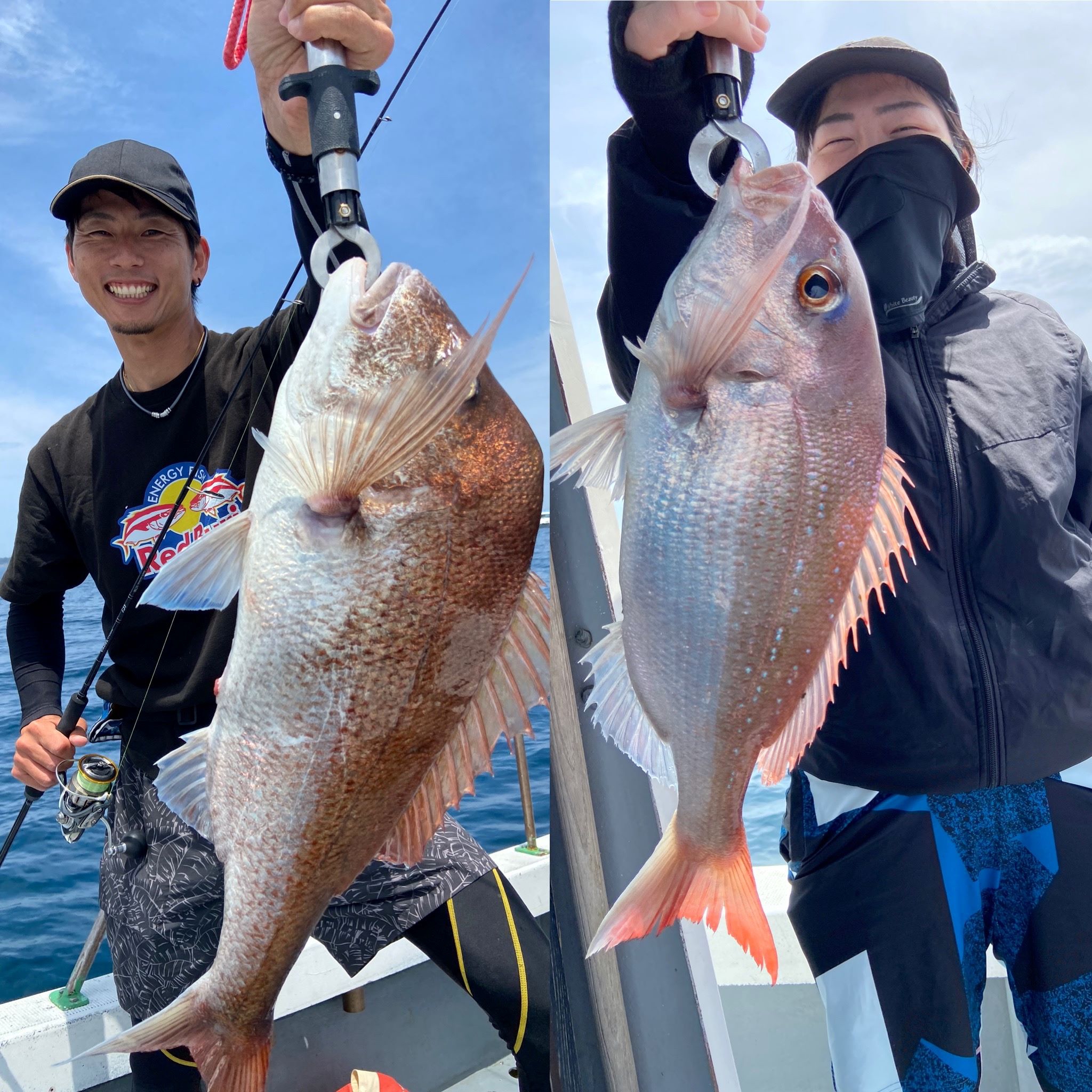 5月27日 根魚、SLJ | 遊漁船GLOW