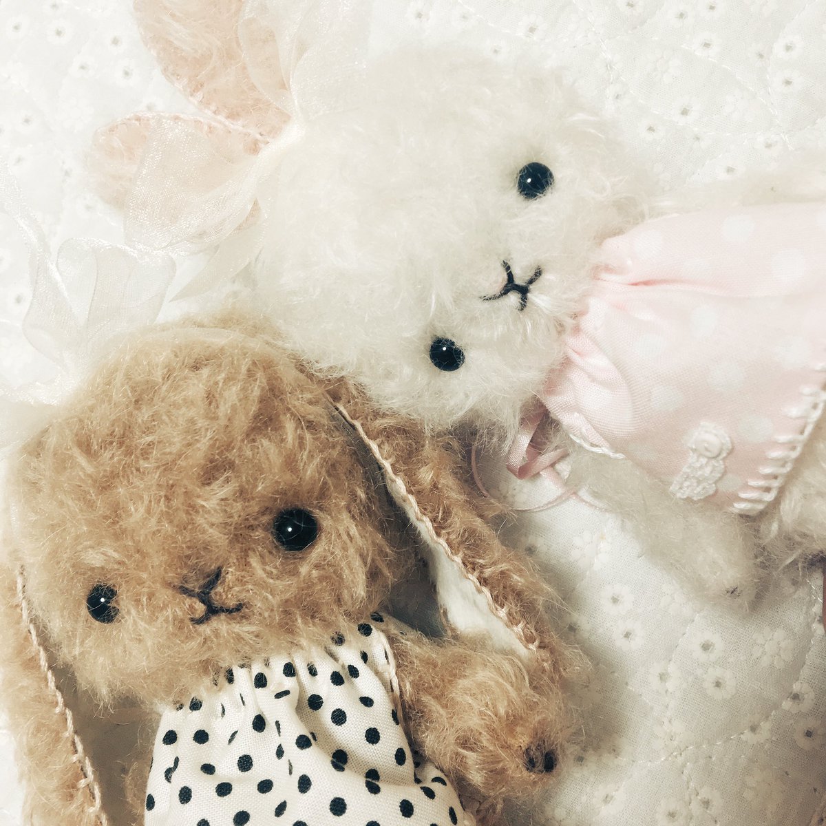 Melody bears