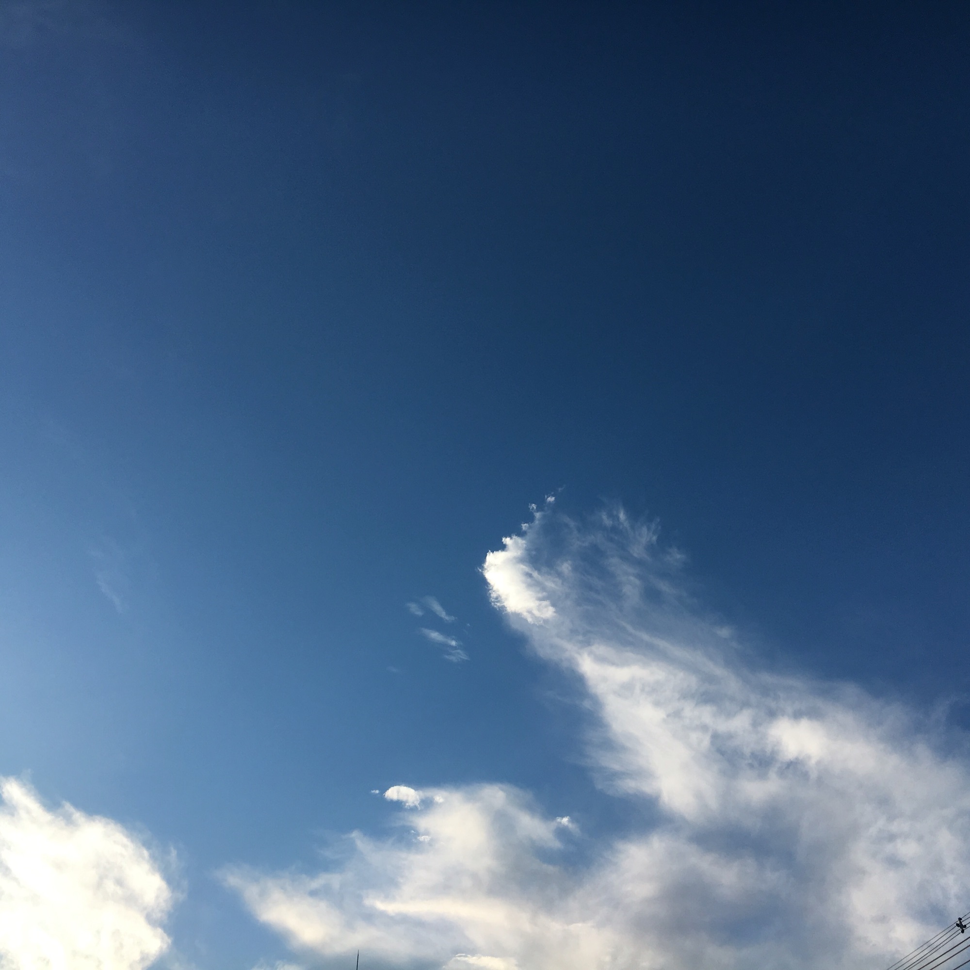 revival | Life goes on…