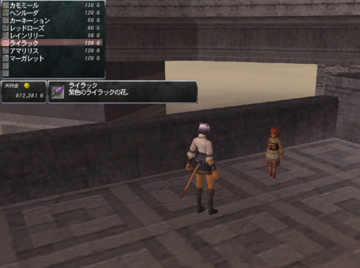 FF11 倉庫輸送 】自国→ジュノ→アドゥリン→三国【行き方】 | FF11 SS #3