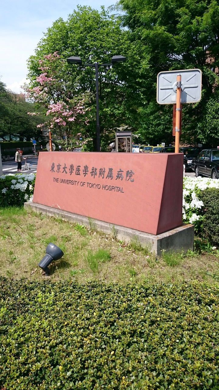 NEWS | 株式会社MIROHO