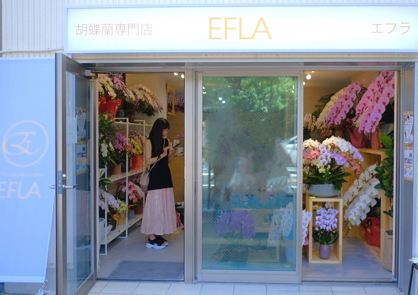 EFLA お茶の水店