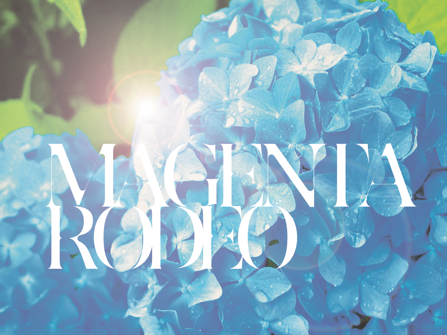 MAGENTA RODEO