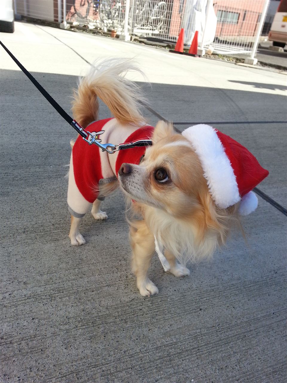 F13 650なお客様に、ACシュニッツァーエキゾーストお取り付け！ | アクセスエボリューション目黒店 access-ev MEGURO