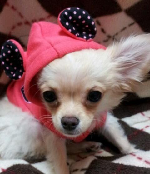 E87なお客様に！ | アクセスエボリューション目黒店 access-ev MEGURO