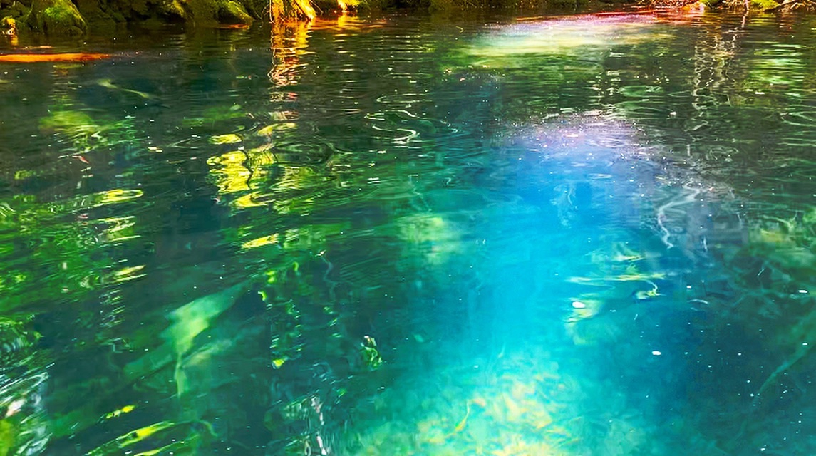 Anima 〜 placidity relax salon