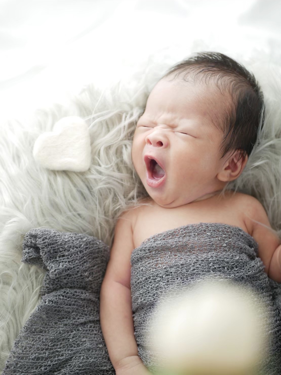 chouchou baby & photo