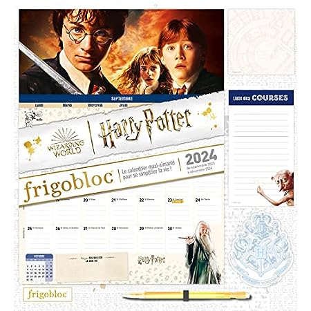 [PDF livre] Frigobloc mensuel Harry Potter de Play Bac [Kindle en ligne ...