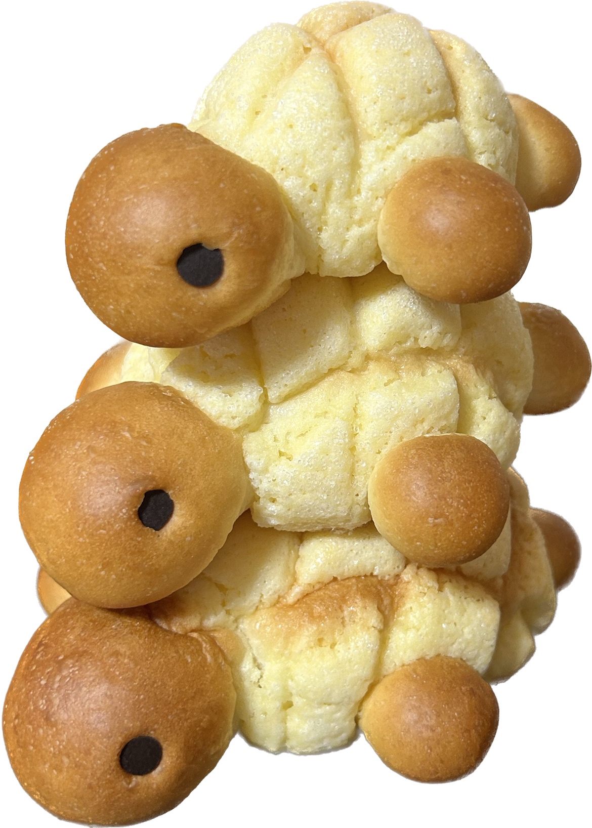 おすすめパン | Cotton Bakery