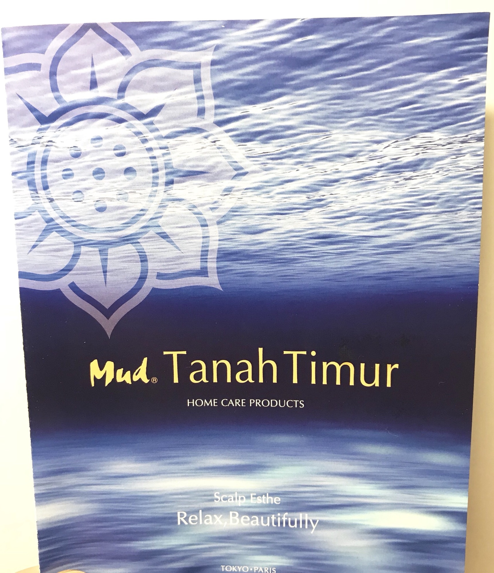 Mud Tanah Timur. | Canopus SATOSHI ITO