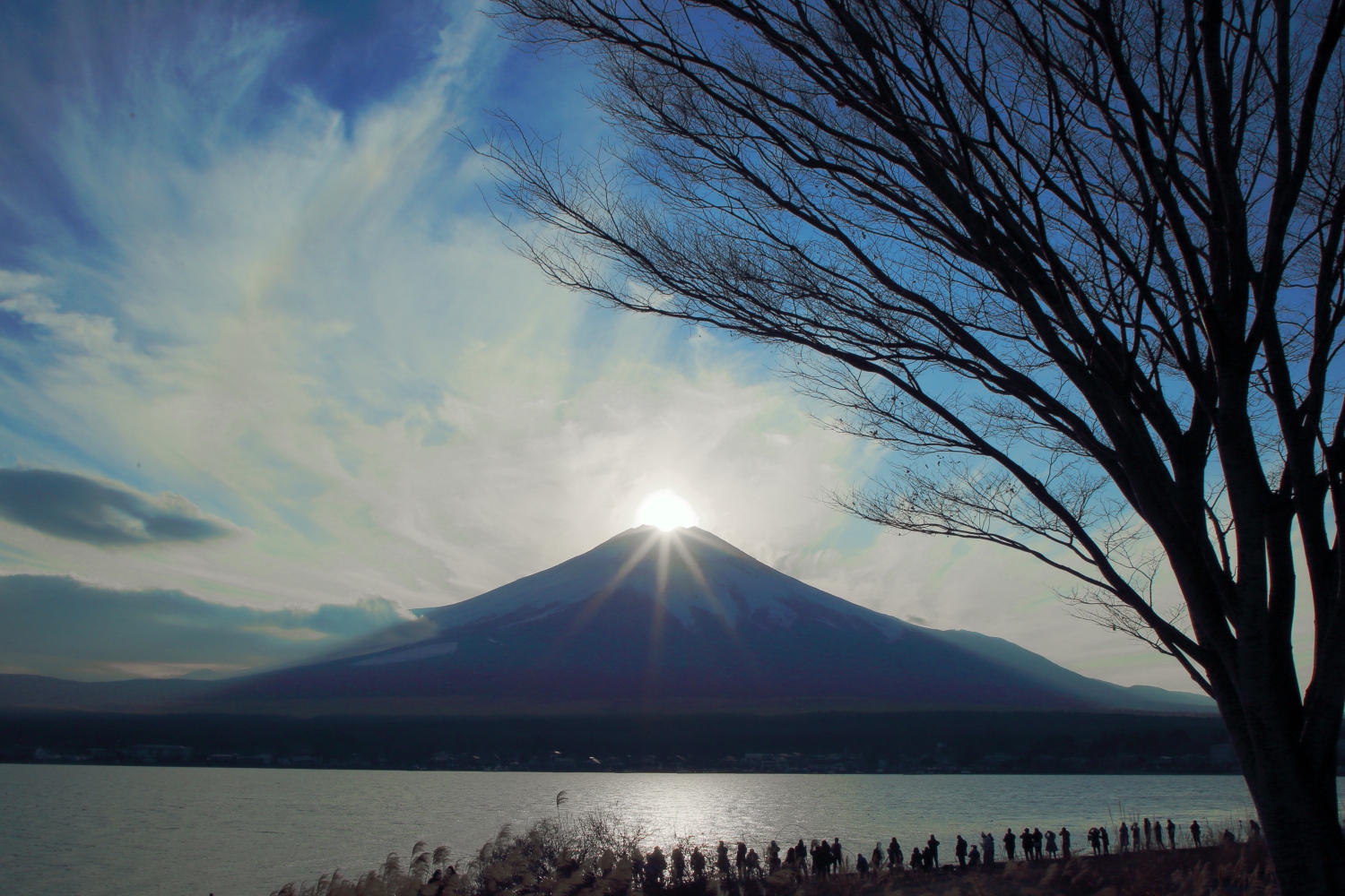 PHOTO : ページ1 | FUJISAN to SHINKANSEN