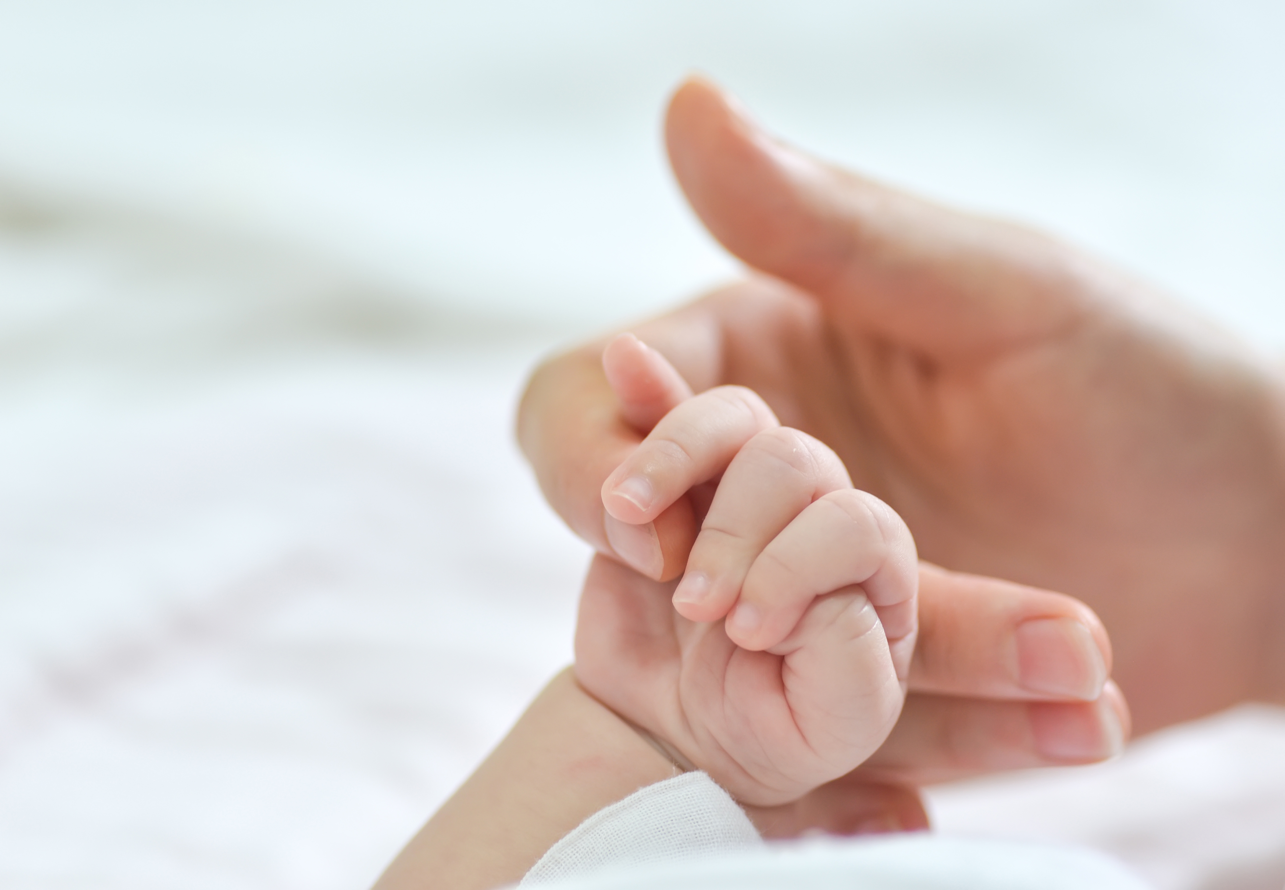 産後doula ひきだゆき