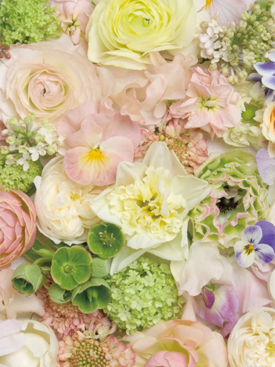 ご予約 | Gentle-garden