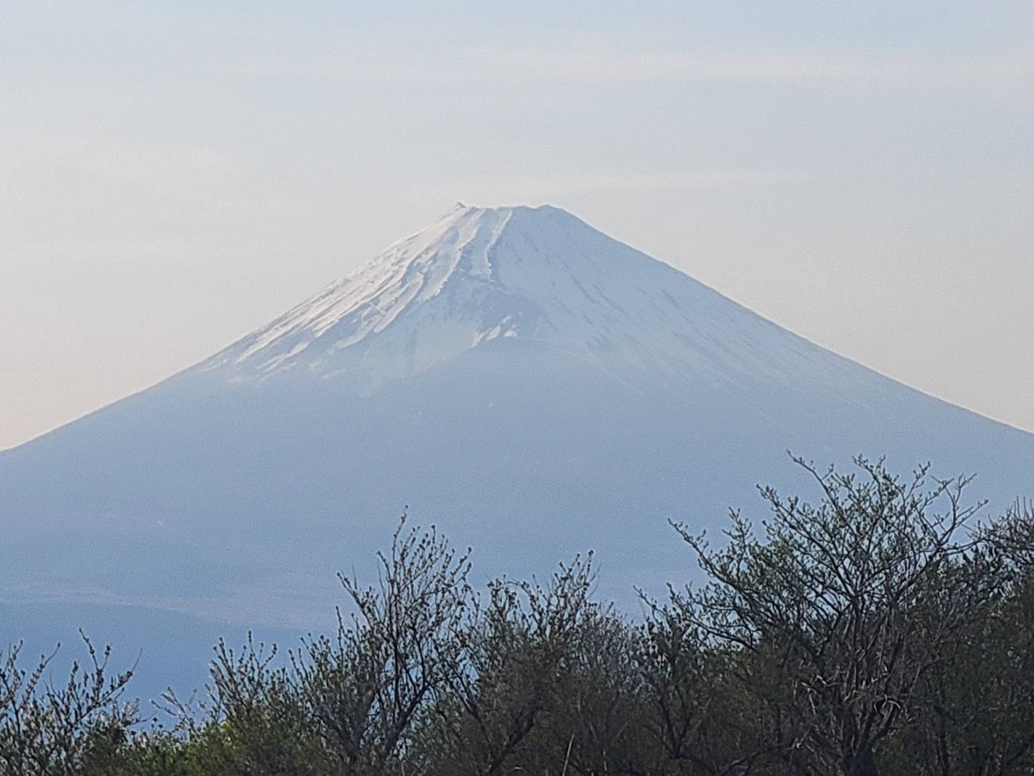横浜市民踊協会 オフィシャルサイト