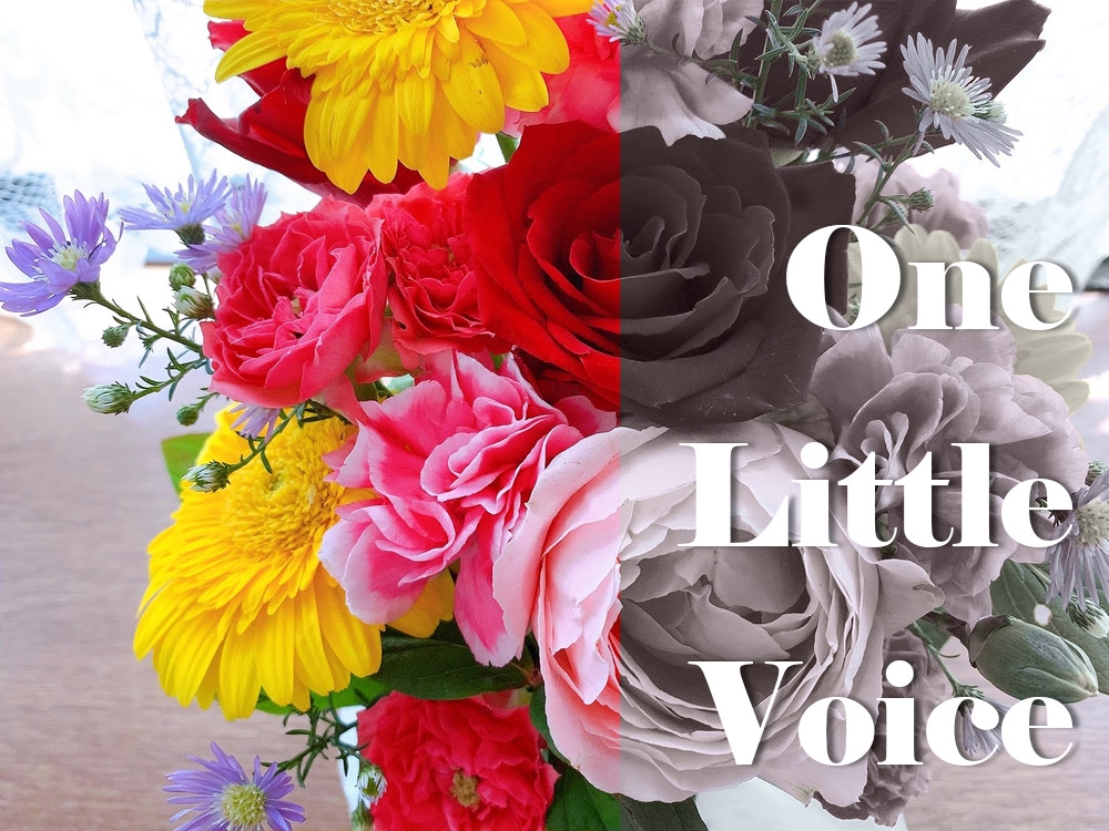 One Little Voice