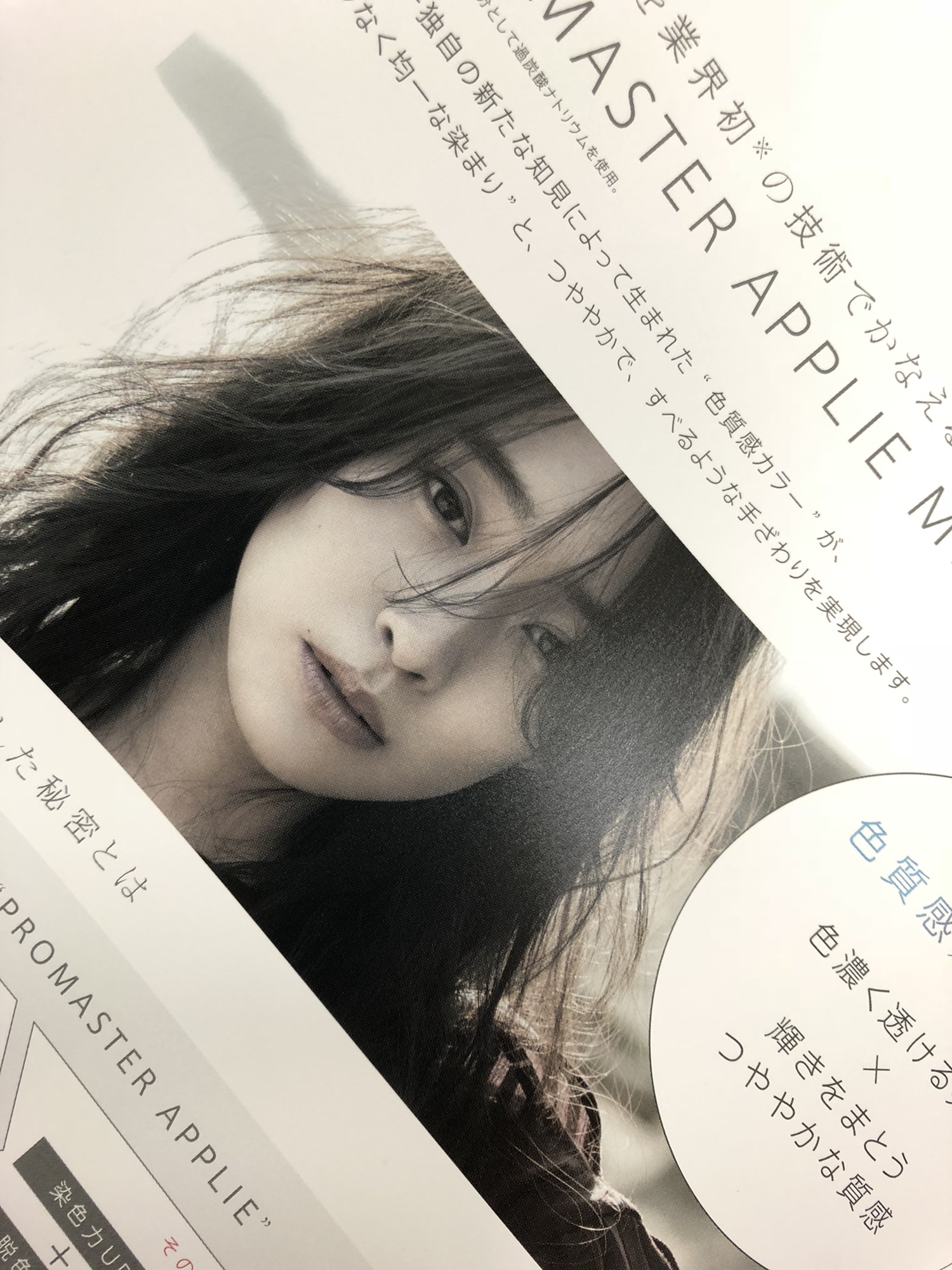 カラー | Yuki Sato BELSTA