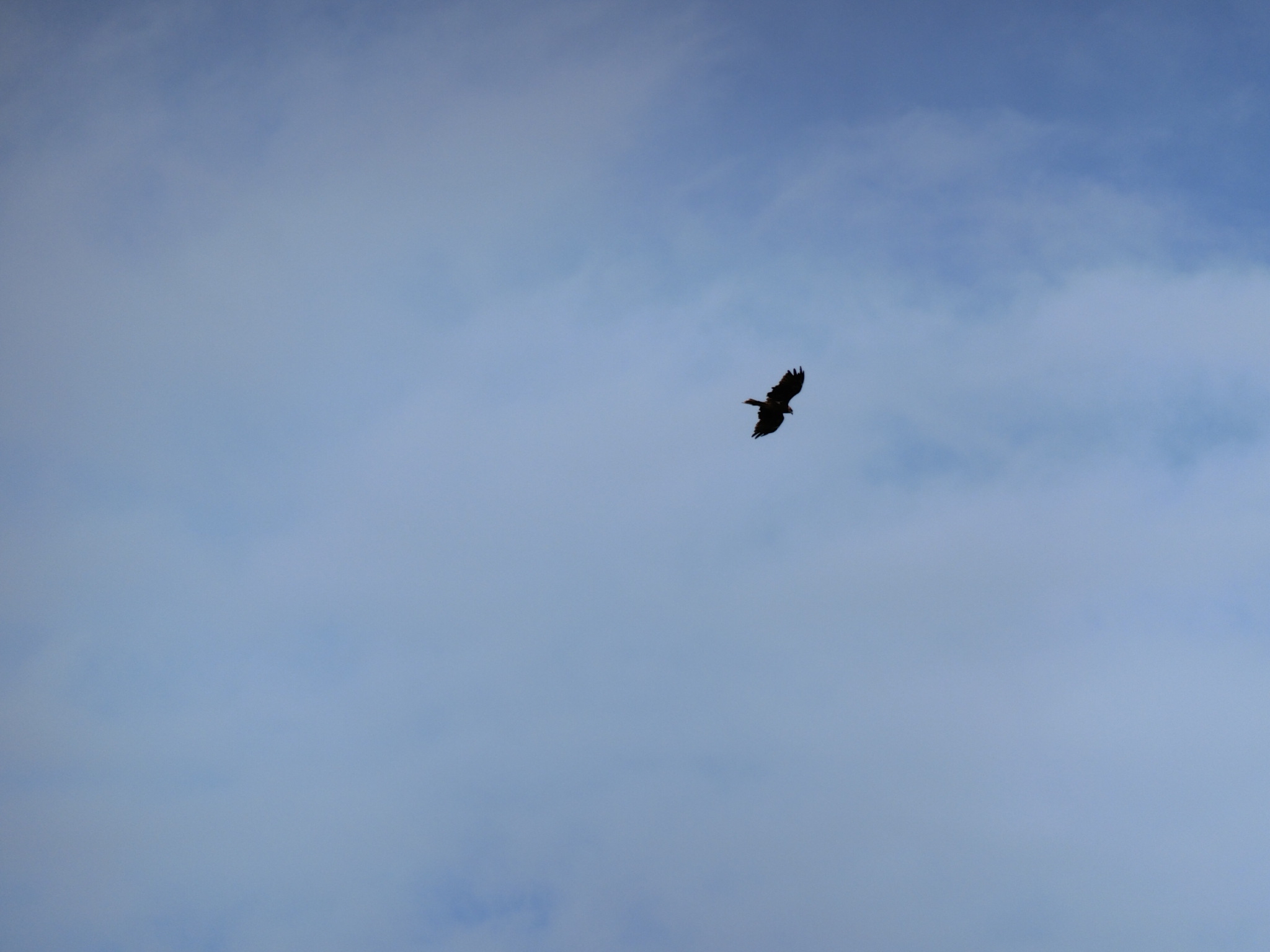 戻り中 | HIROYAN's 雑録