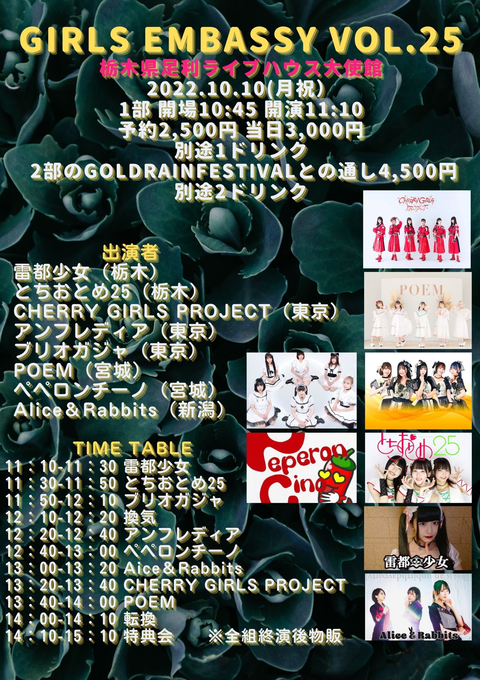 【ライブ】10月10日（月祝）GIRLS EMBASSY VOL.25 | 雷都少女 official site