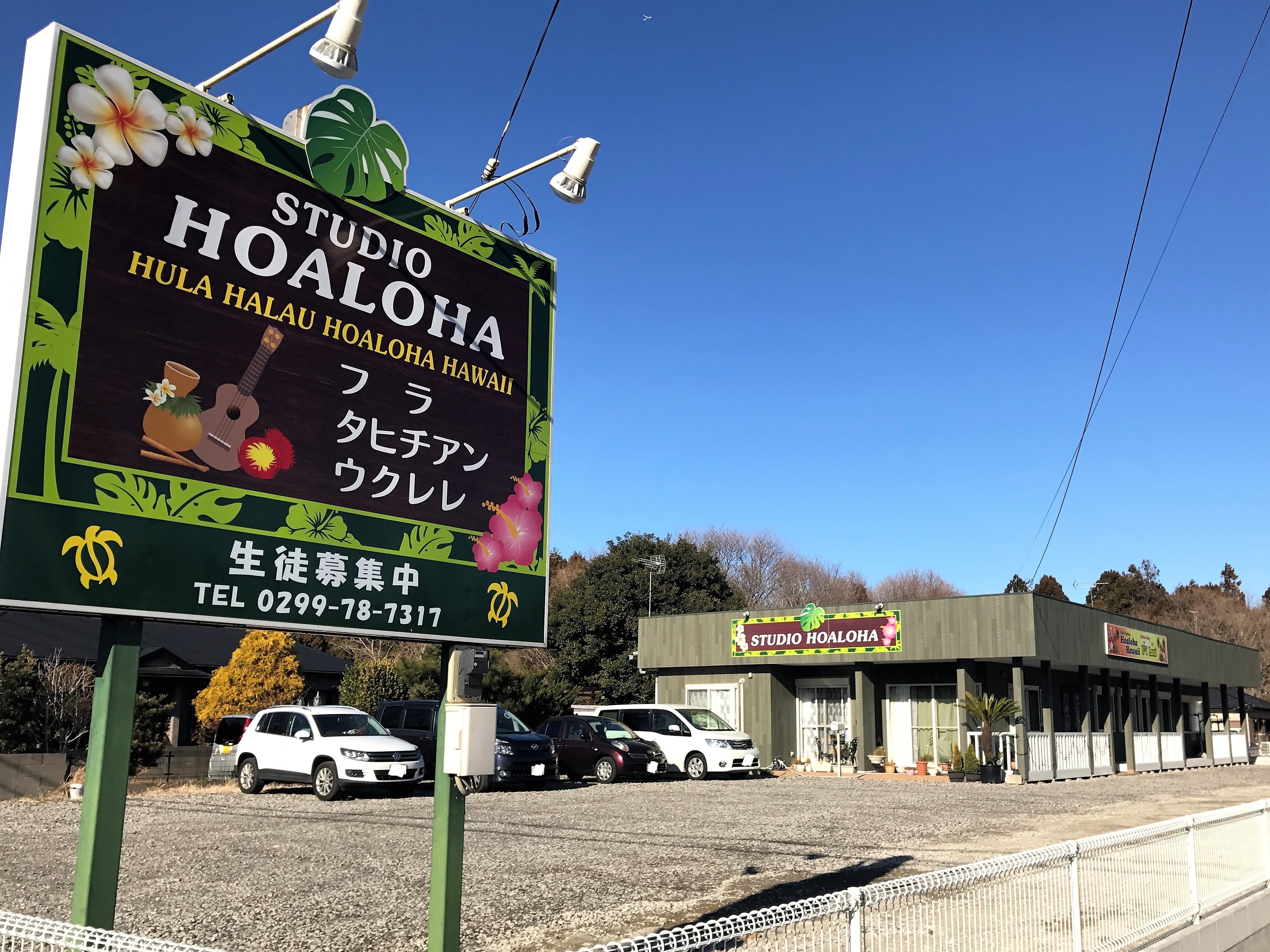PROFILE | Hula Hālau Hoaloha Hawai'i