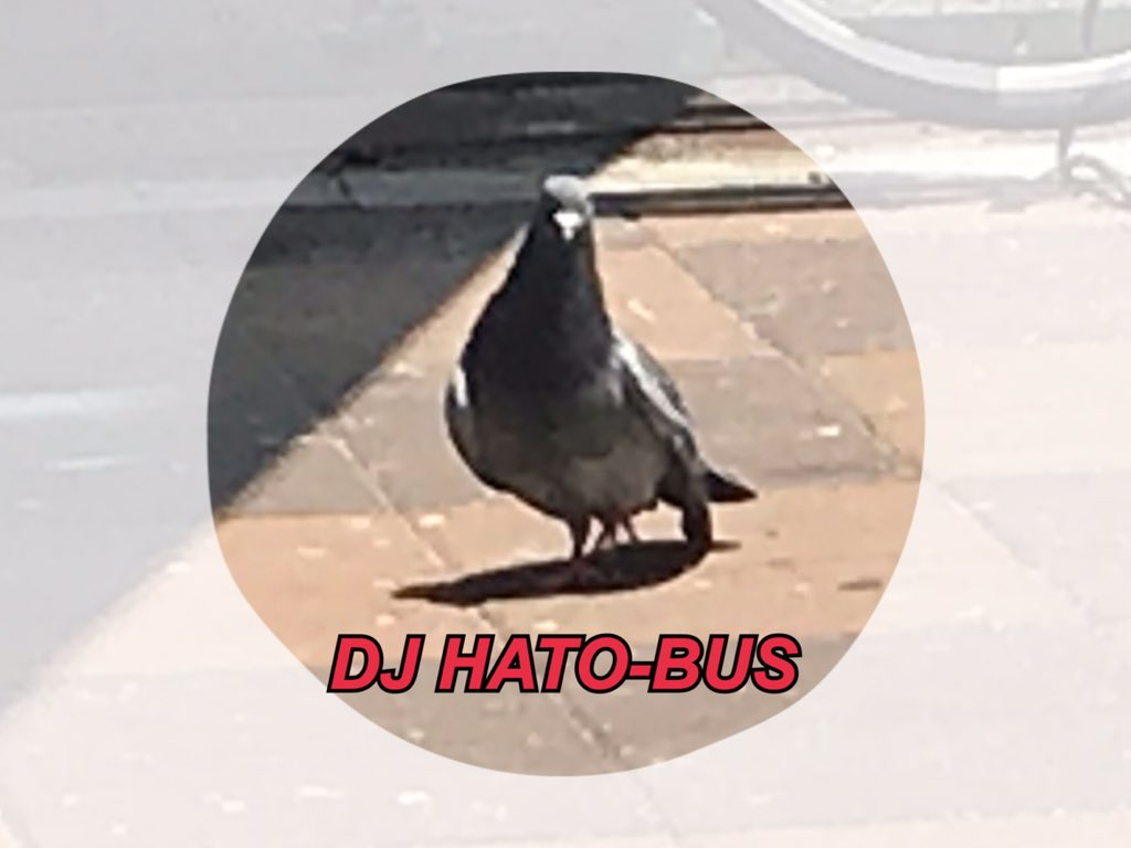 遅咲きの中年テクノ「DJ HATO-BUS」 | 090-6143-2407『フェスボルタ』公式サイト