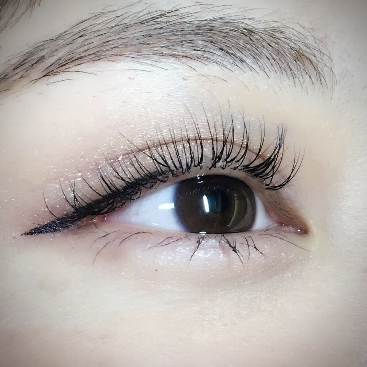 PRICE | ★Eyelash★… Belliy
