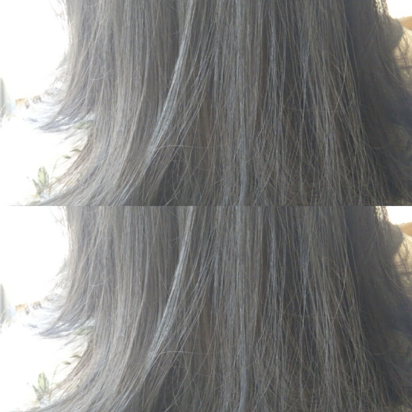 ＊Silver ash＊…とお知らせ。 | ciseaux maeda｜シゾーマエダ