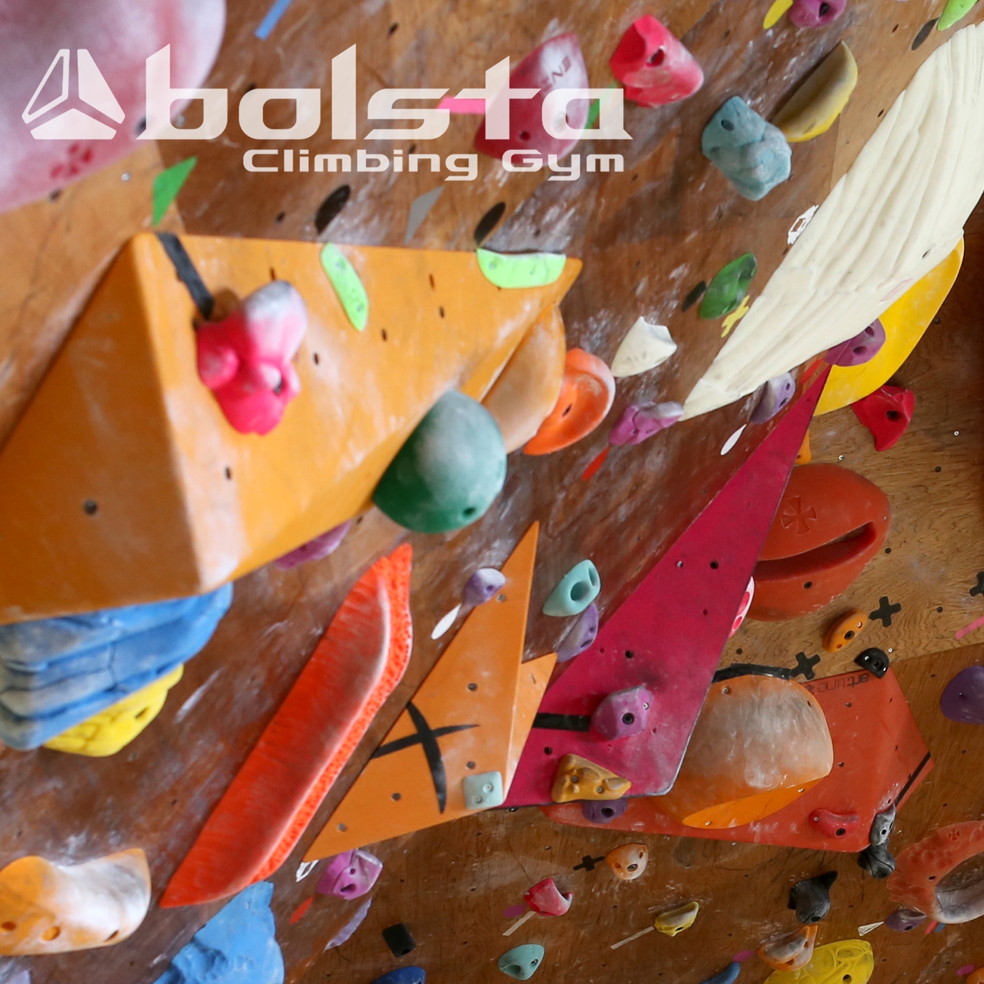 SHOP INFO | bolsta climbing gym