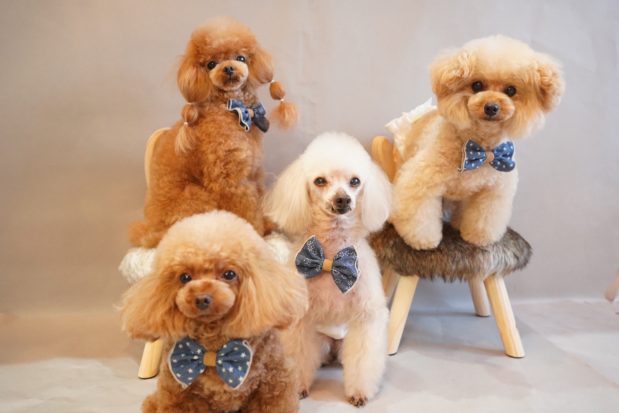 Saku & Azu & Mari & Suzu