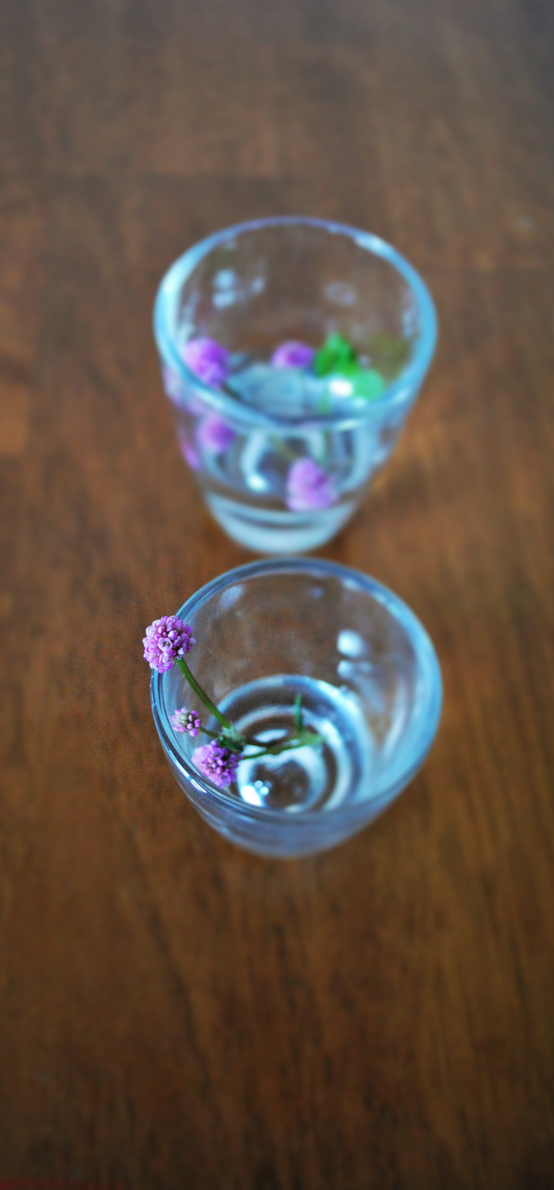 特別な花 | FLOWER HOME- vice+versa flowers