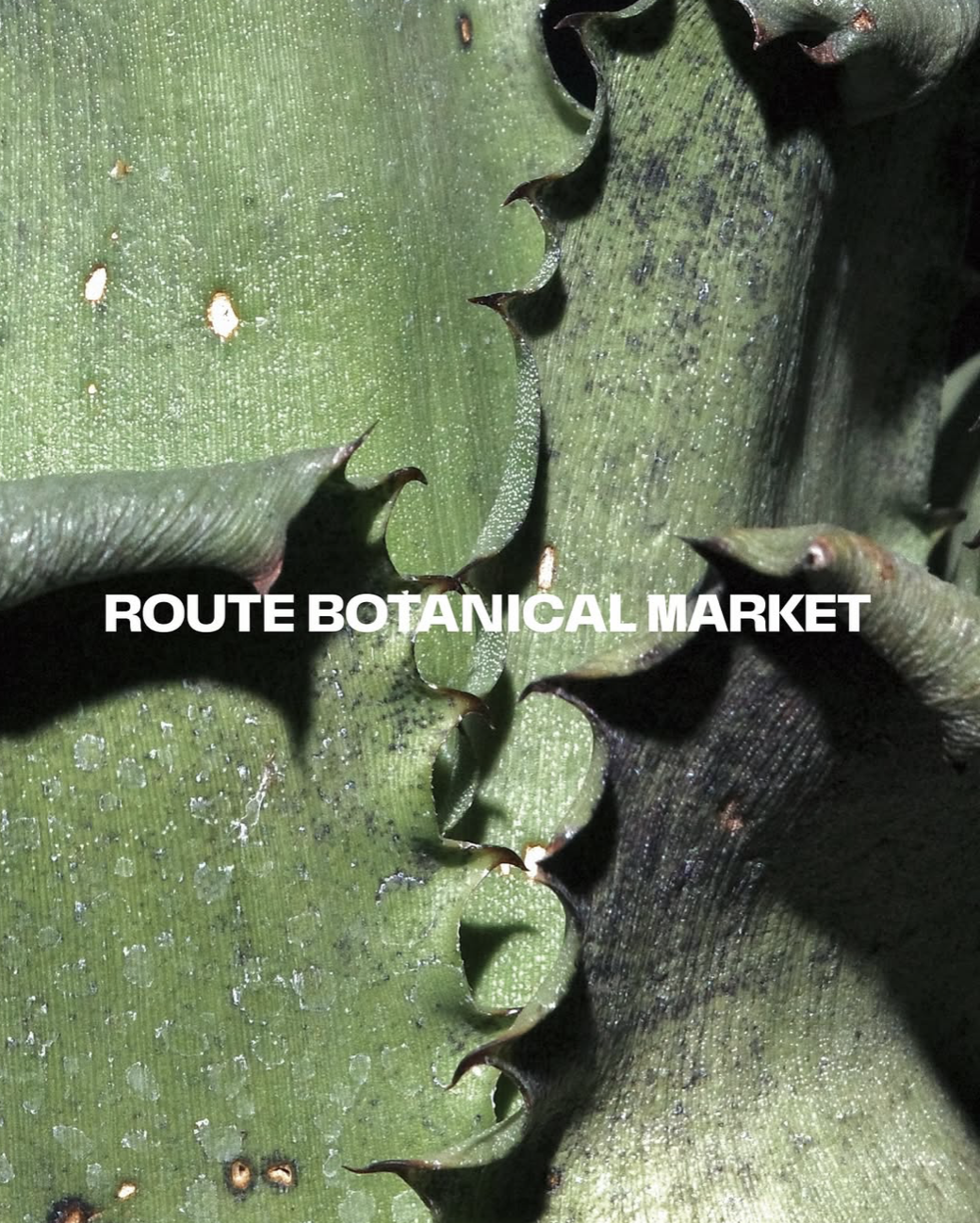 [event info]3/15 東京 上野 ROUTE BOTANICAL MARKET vol.4 | Plants and candle ...