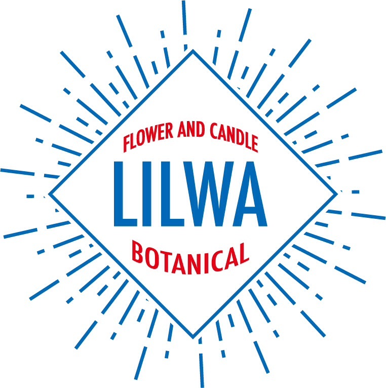 organic | Plants and candle shop LILWA