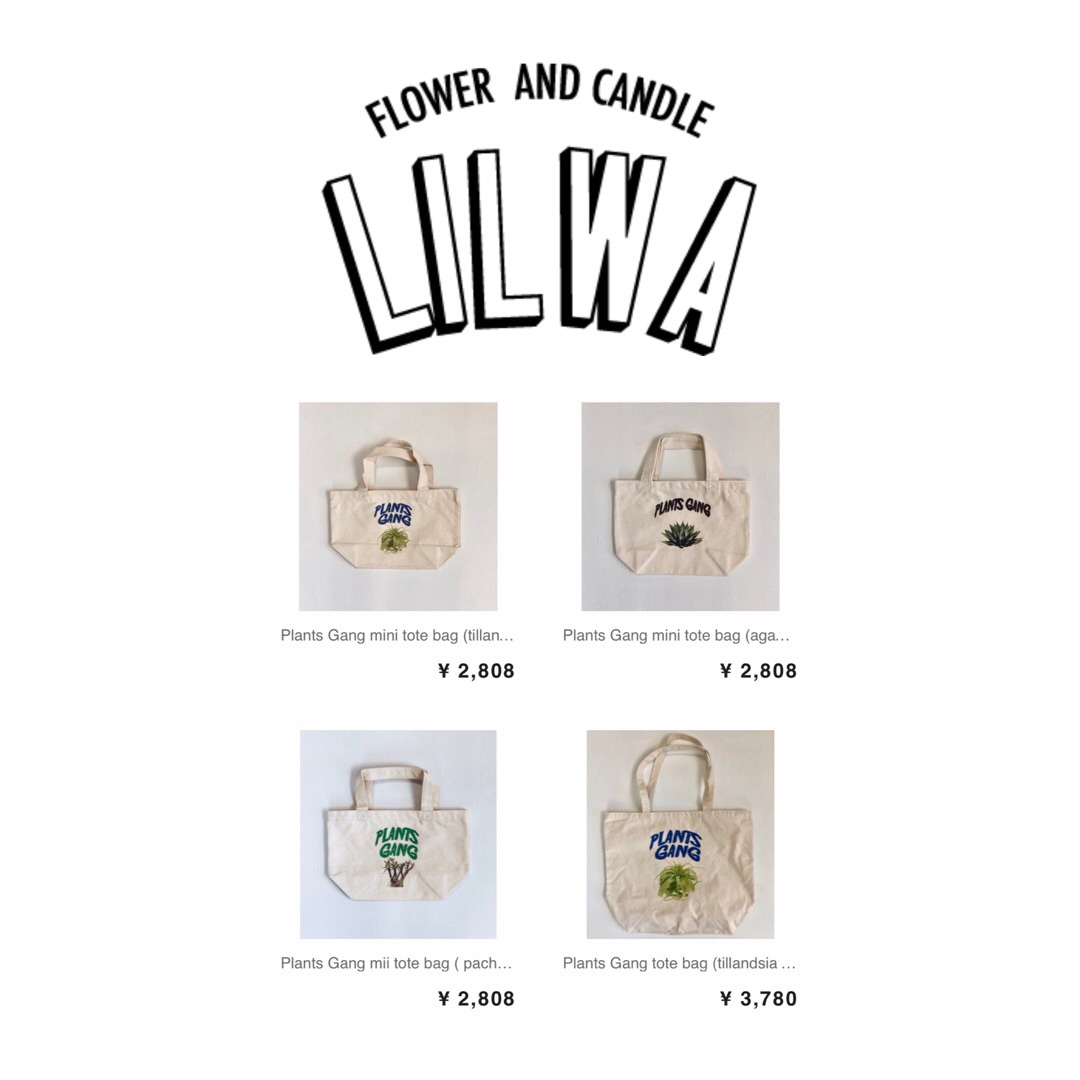 [open]online store | Plants and candle shop LILWA