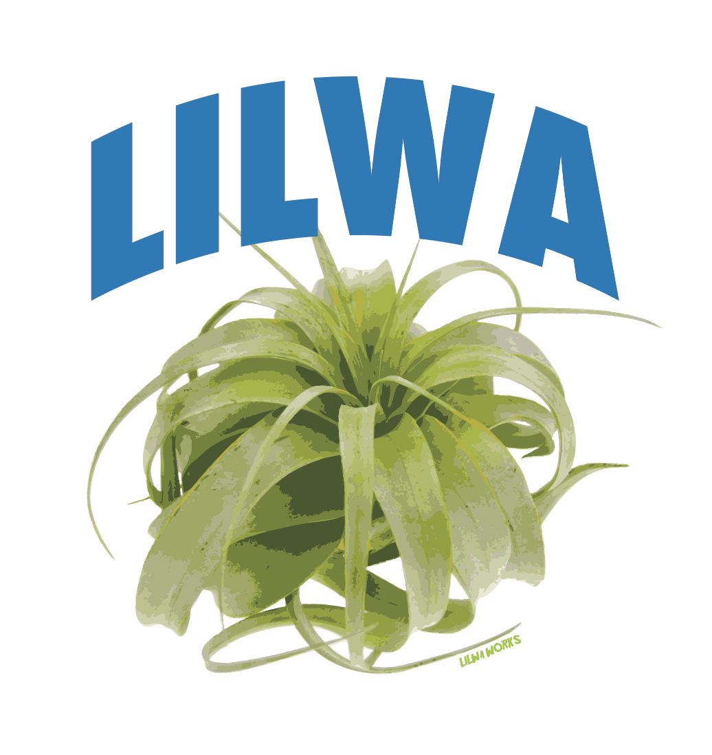 Plants and candle shop LILWA