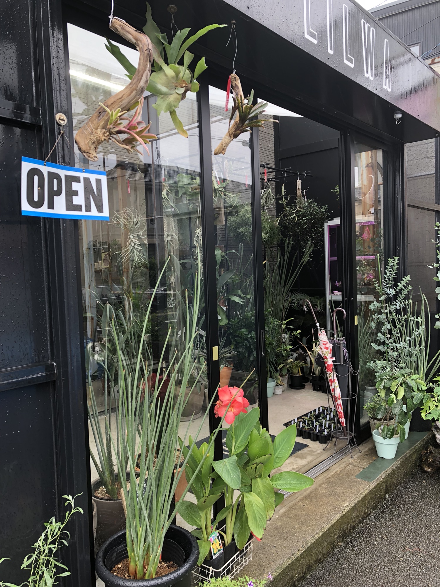 [shop info]駐車スペースの案内 | Plants and candle shop LILWA