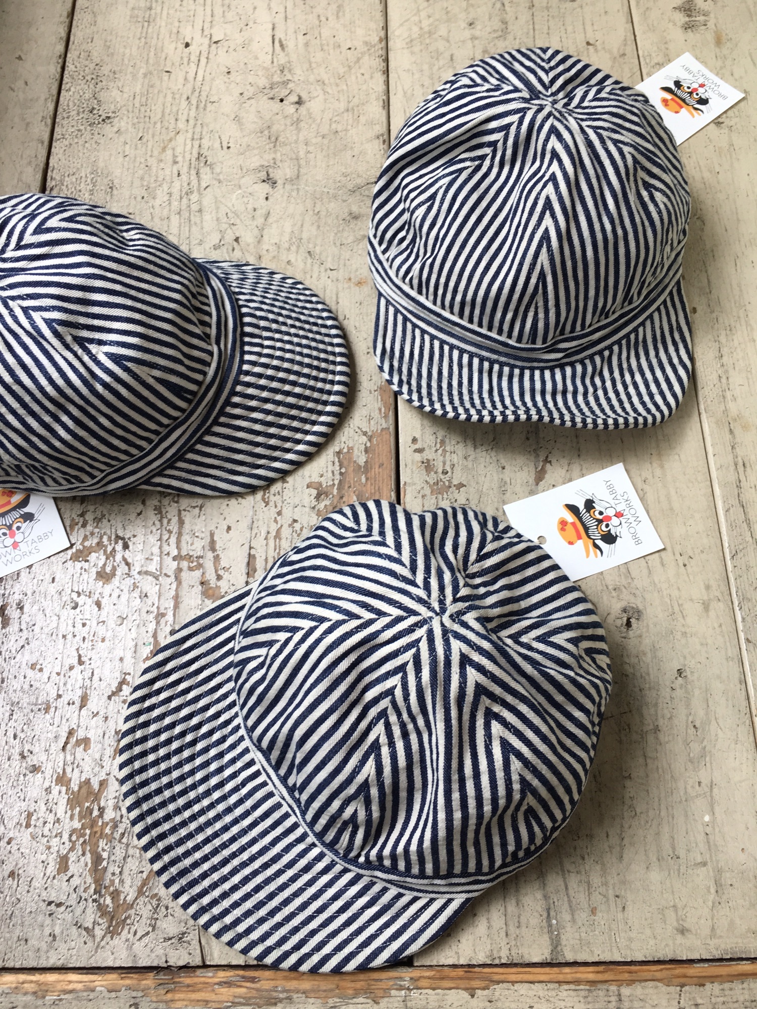 YUI model CAP 2017 | BROWN TABBY