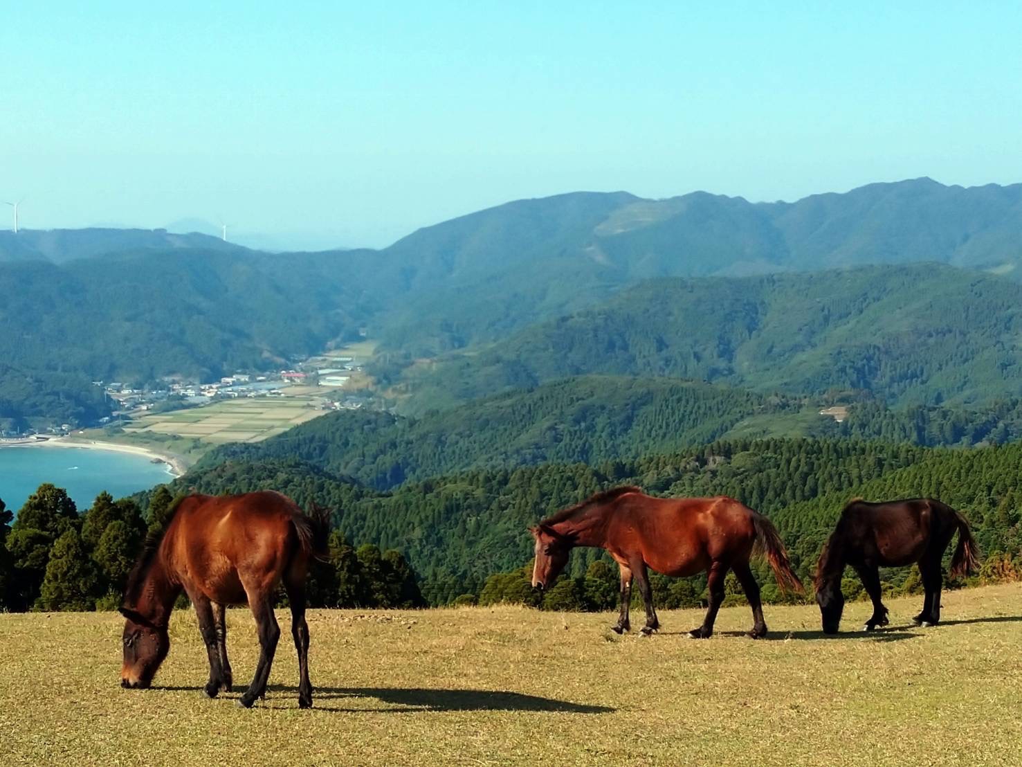 人間は弱い生き物 | 横浜市鶴見区| Office-ANN | OFFICIAL SITE