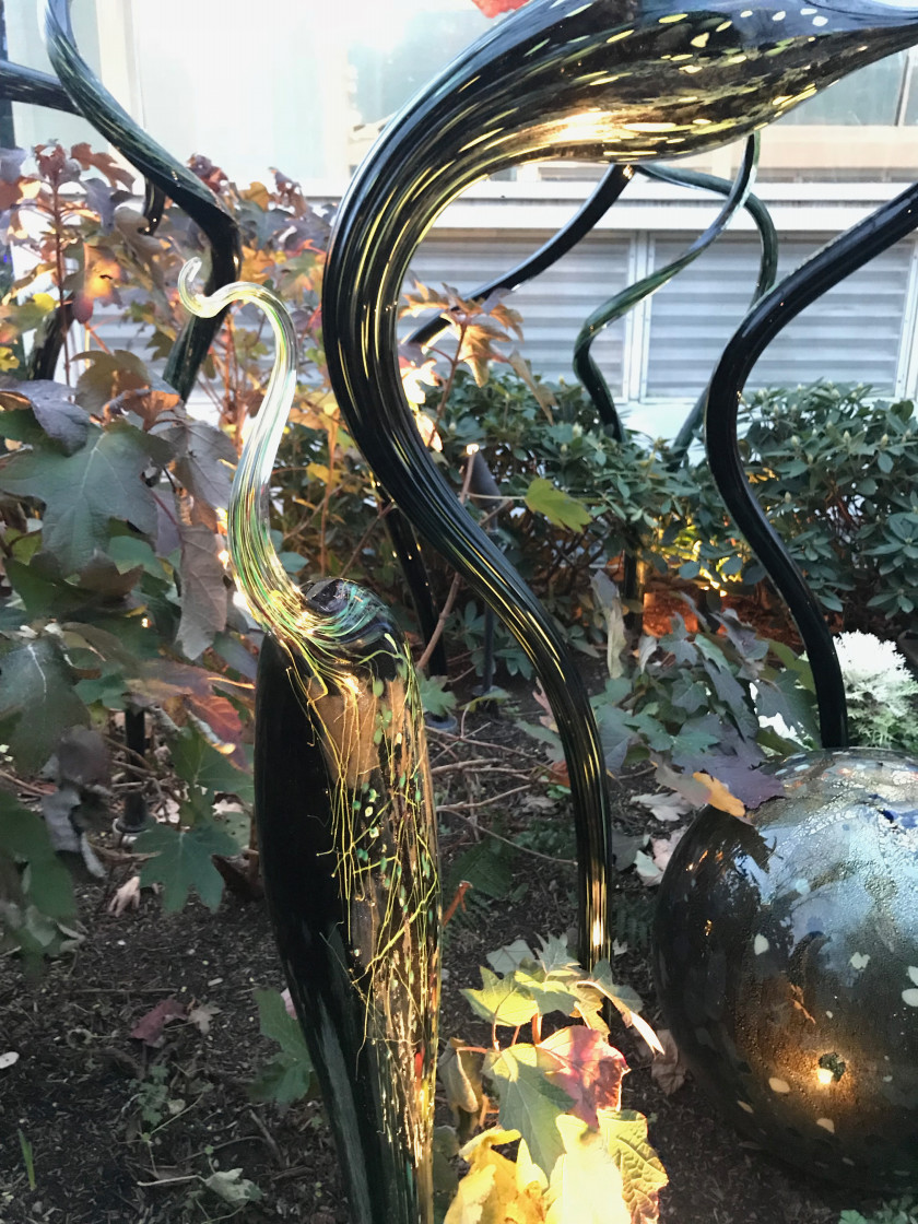 ホグワーツなスザロ図書館とデール・チフリーのガラス / シアトル③ – Lulu's Cabinet