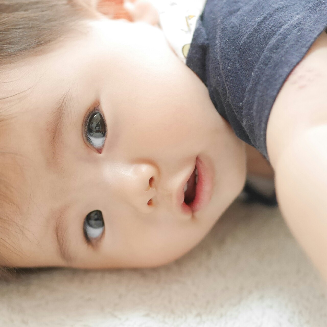 Baby muse