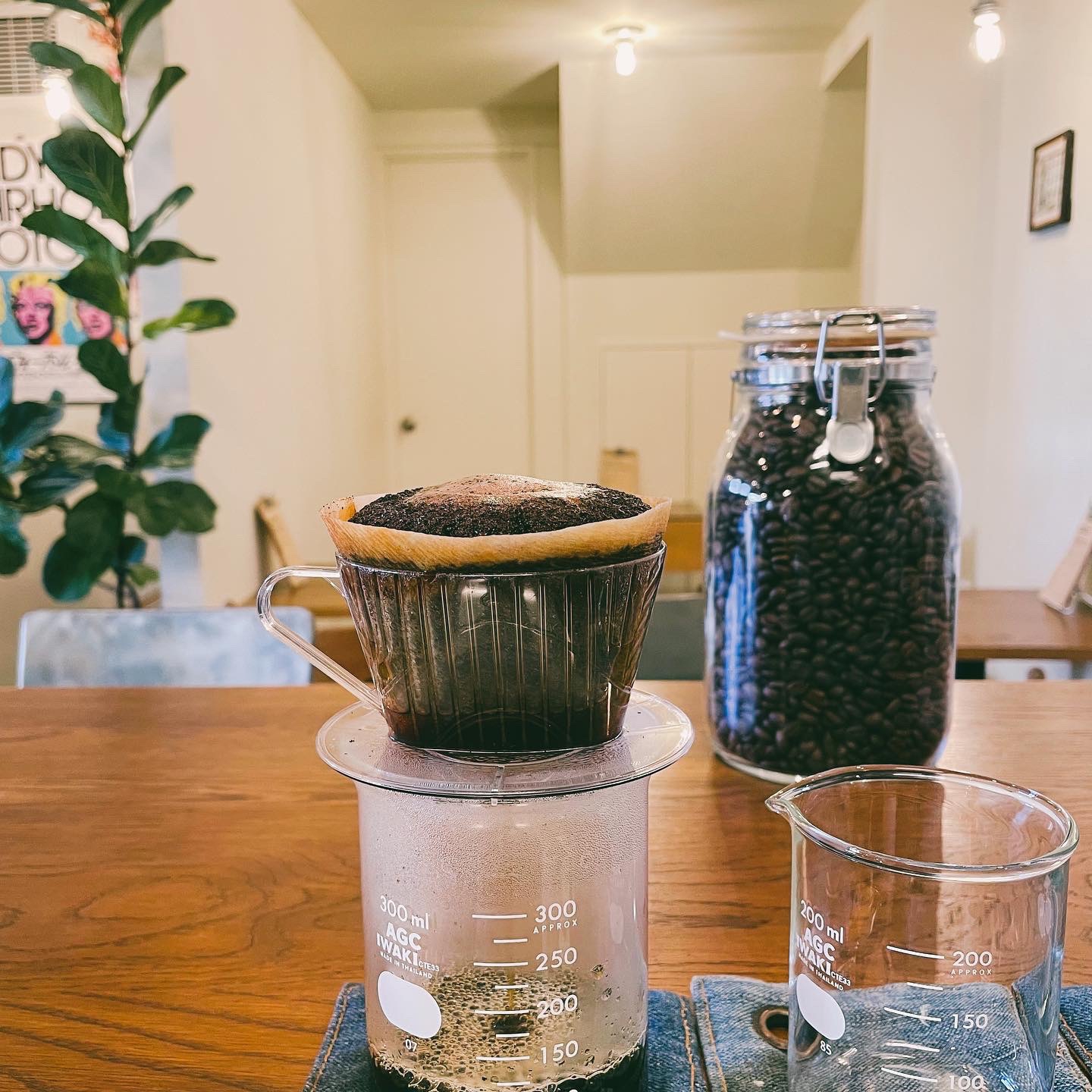 明日、9／25（日）は、いよいよエンジョイコーヒータイムです。 | SHIGA COFFEE シガコーヒー